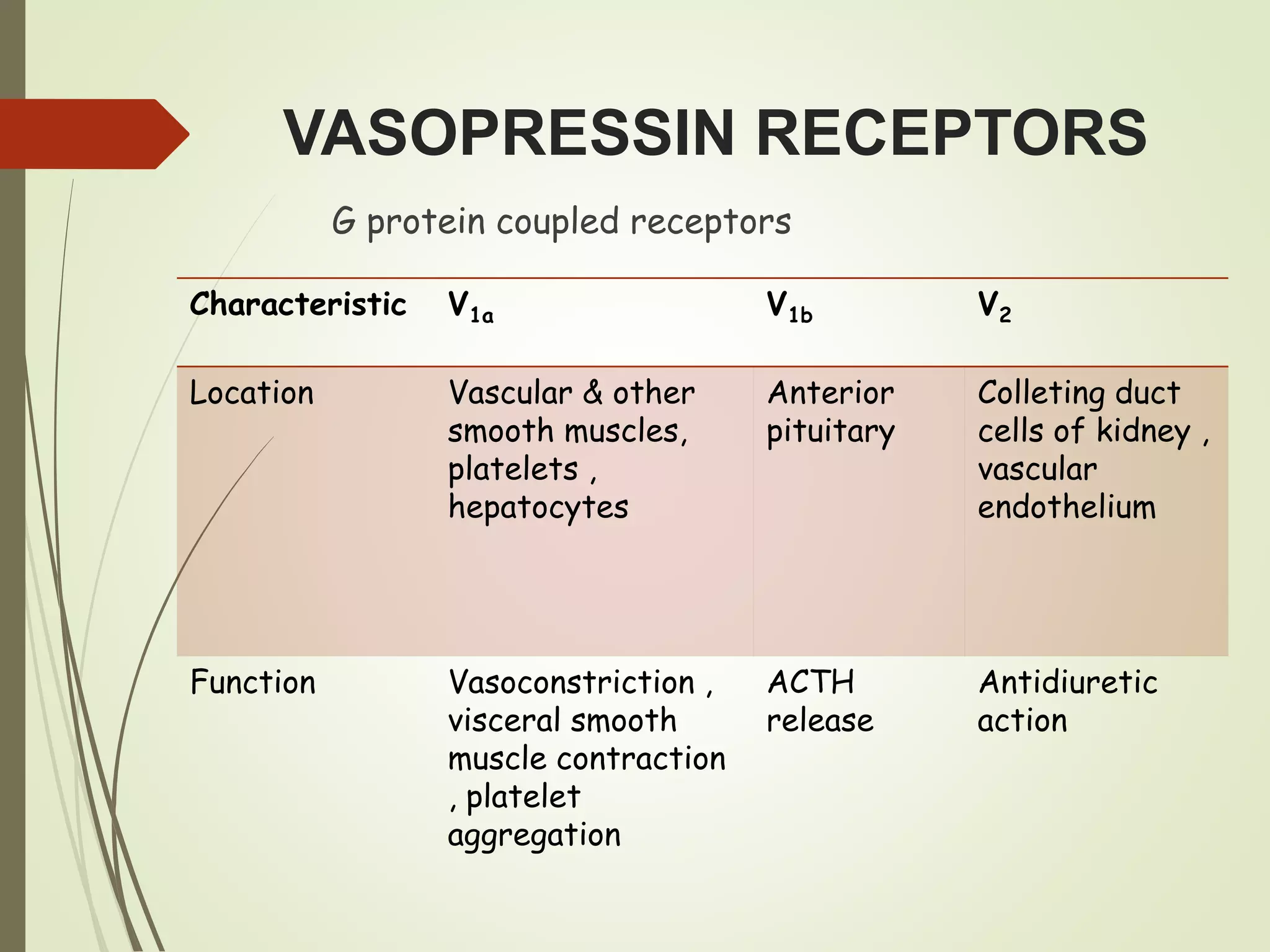 Vasoactive peptides | PPTX