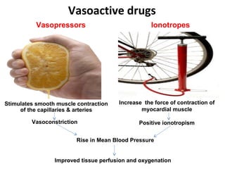 Vasoactve drugs | PPT