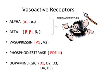 Vasoactve drugs | PPT