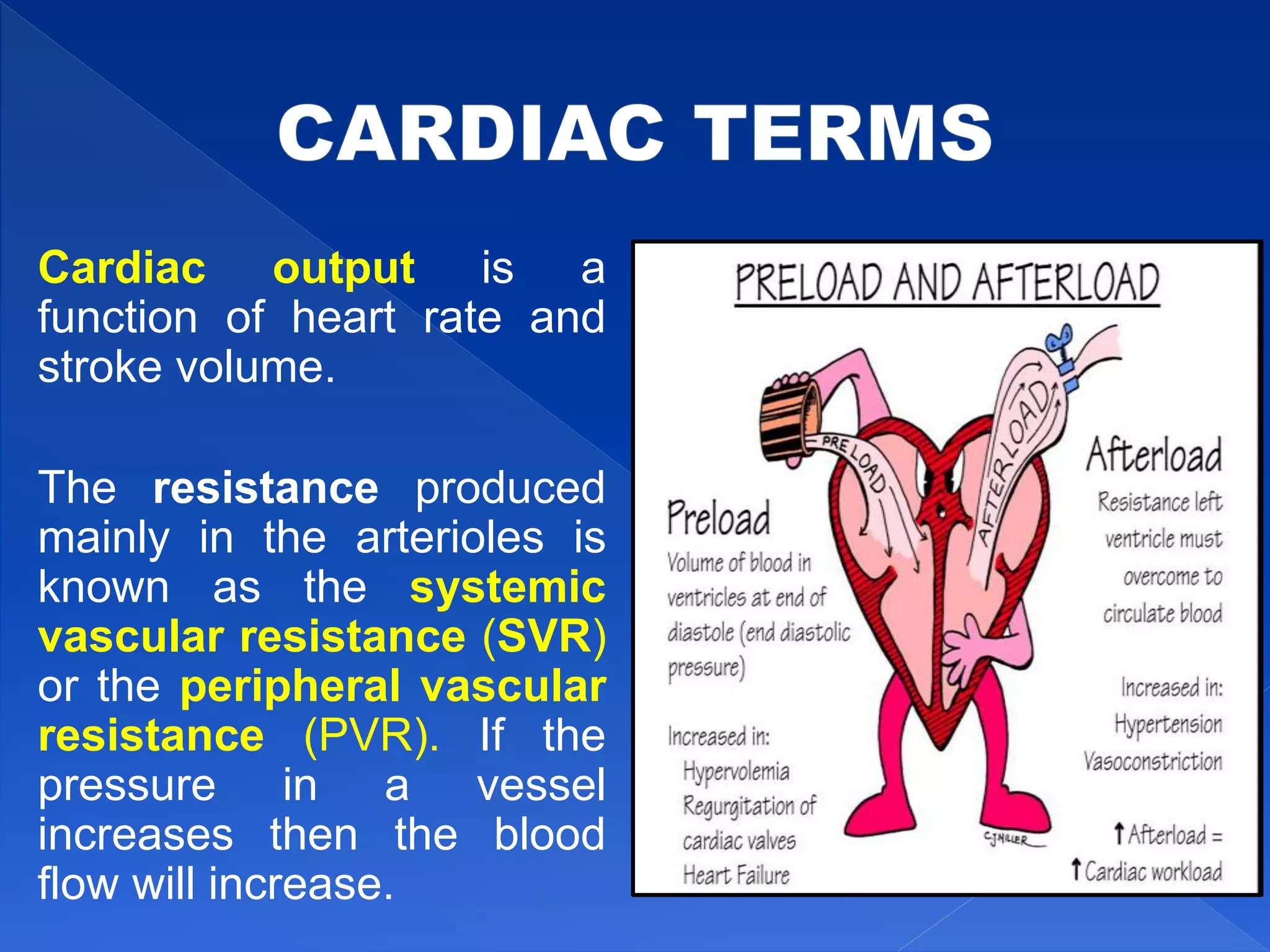 Vasodilators - Medicinal chemistry for B.Pharm. | PPTX