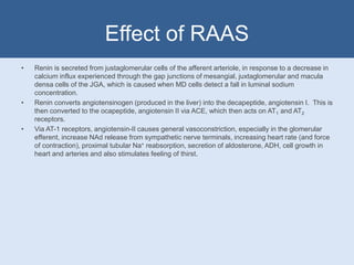 Vasodilators and vasoconstrictors | PPTX