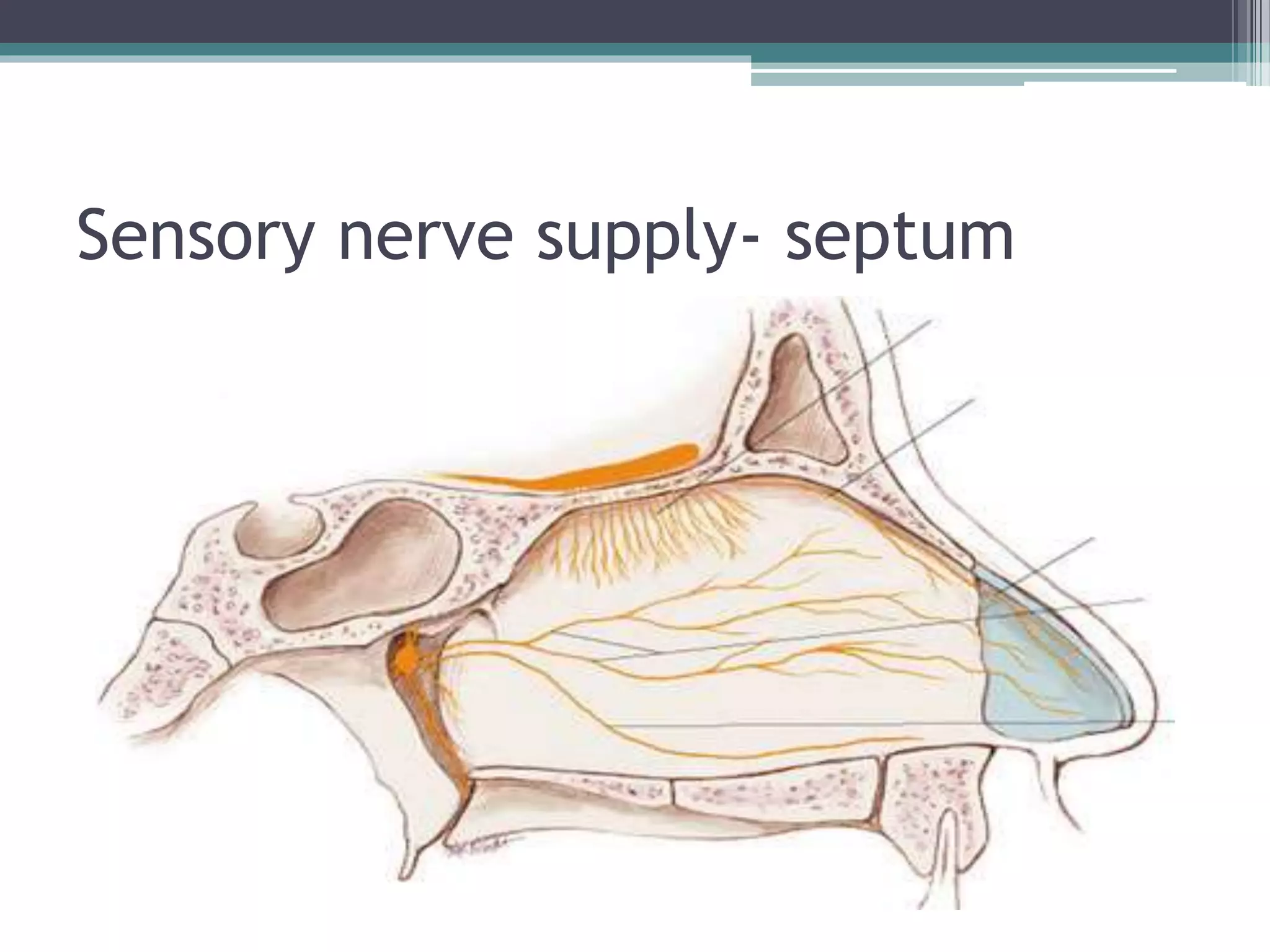 Vasomotor and atrophic rhinitis | PPTX
