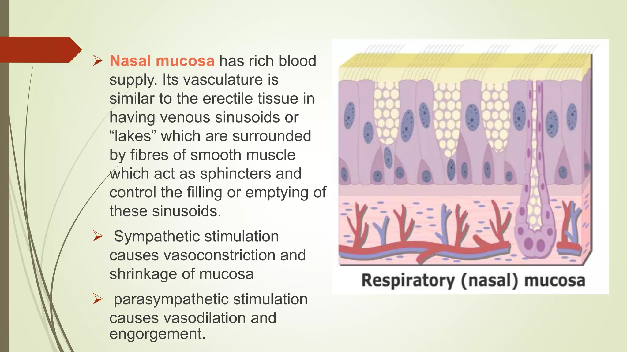 Vasomotor rhinitis and other rhinitis | PPTX