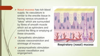 Vasomotor rhinitis and other rhinitis | PPTX