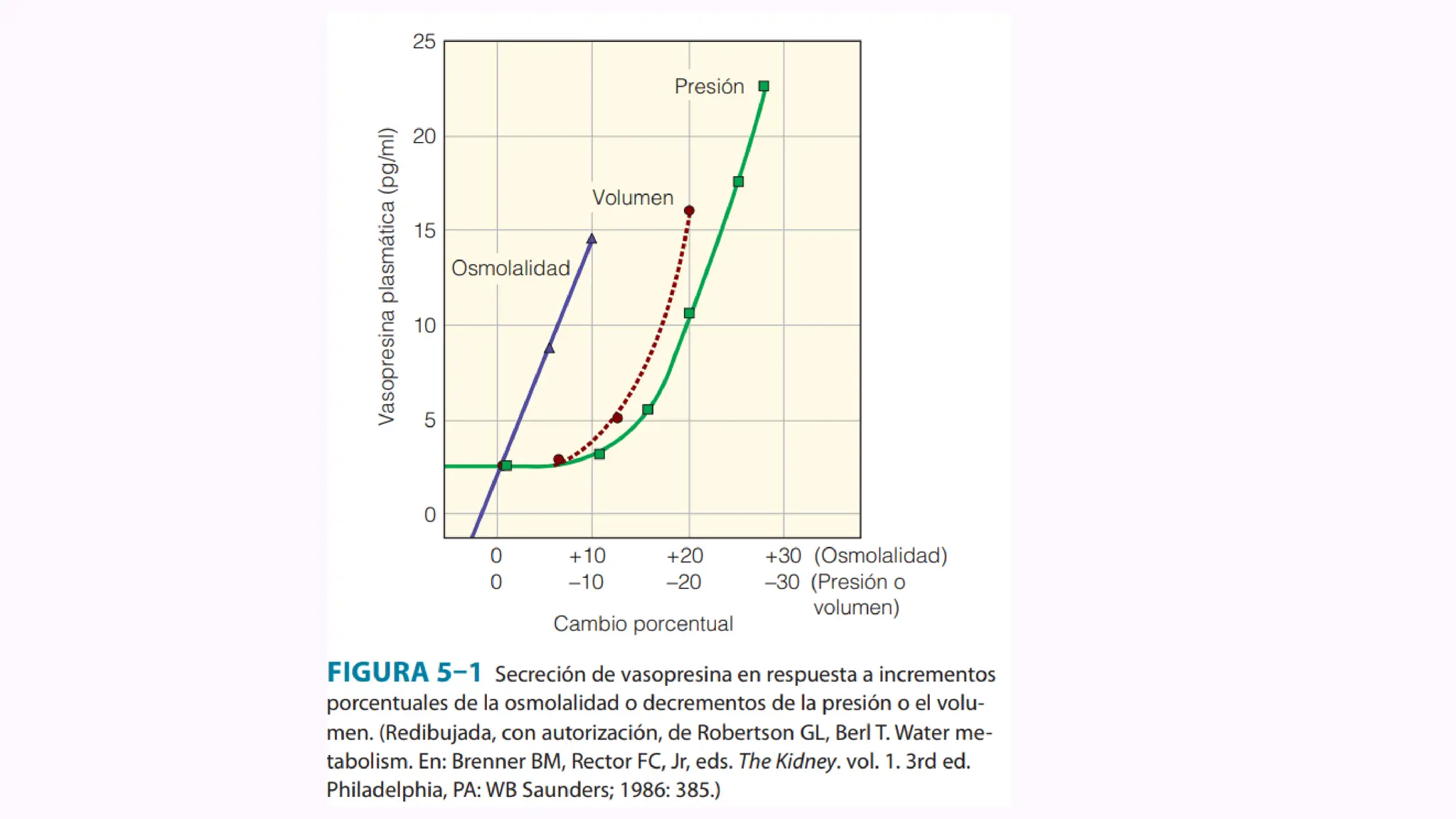 Vasopresina y Oxitocina bioquímica de hormonas neurohipofisiarias | PPT