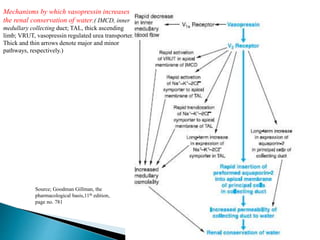 Vasopressin and its pharmacology | PPTX