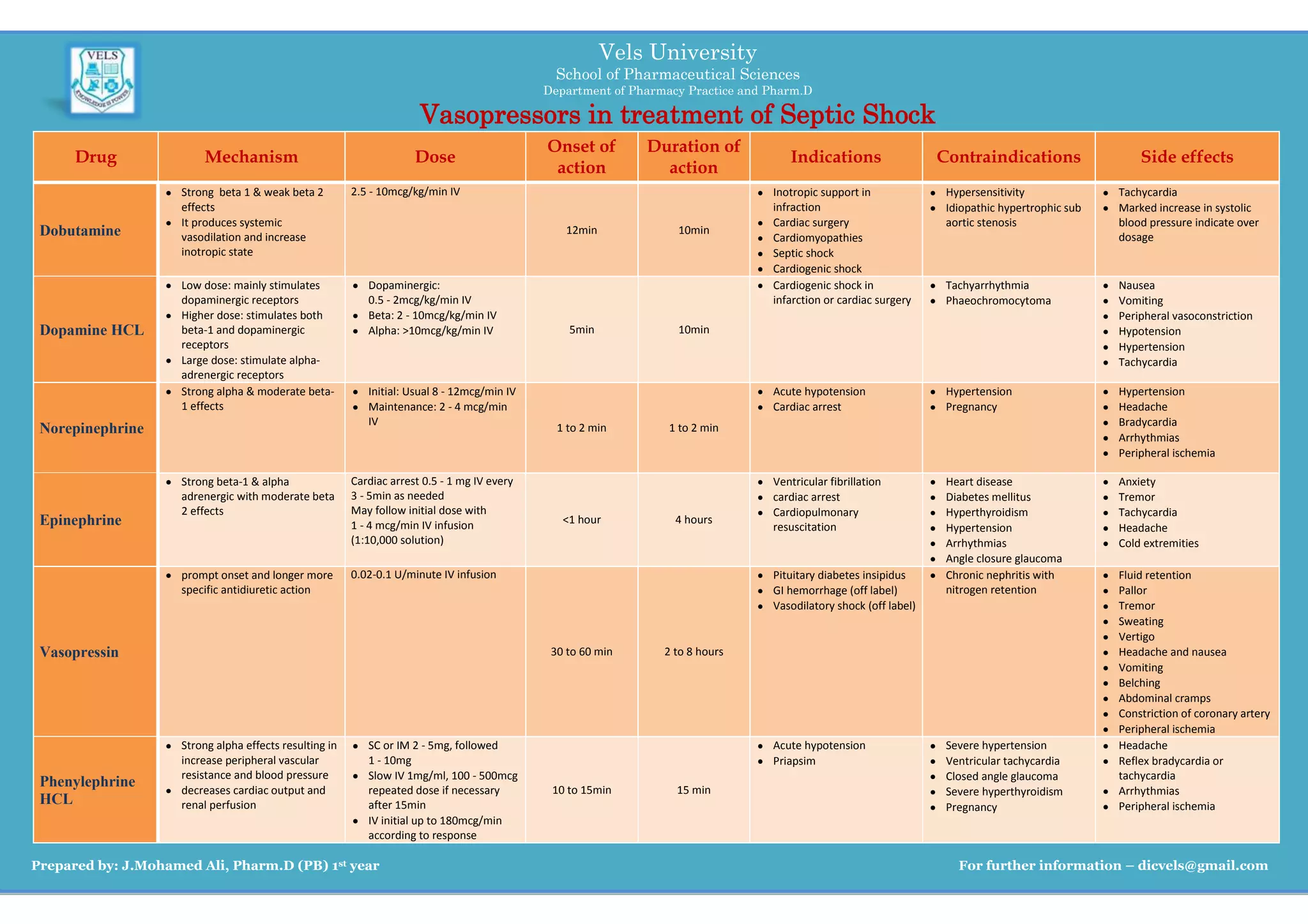 Vasopressor In Septic Shock (1) | DOCX