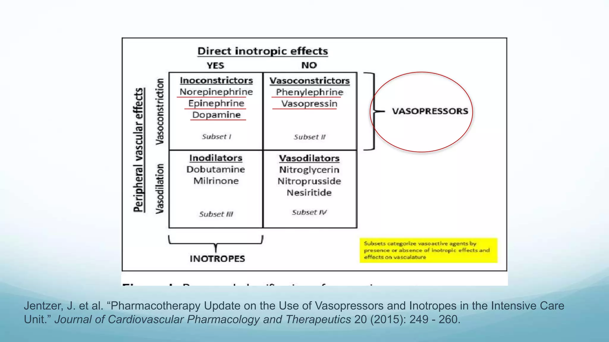 vasopressors.pptx
