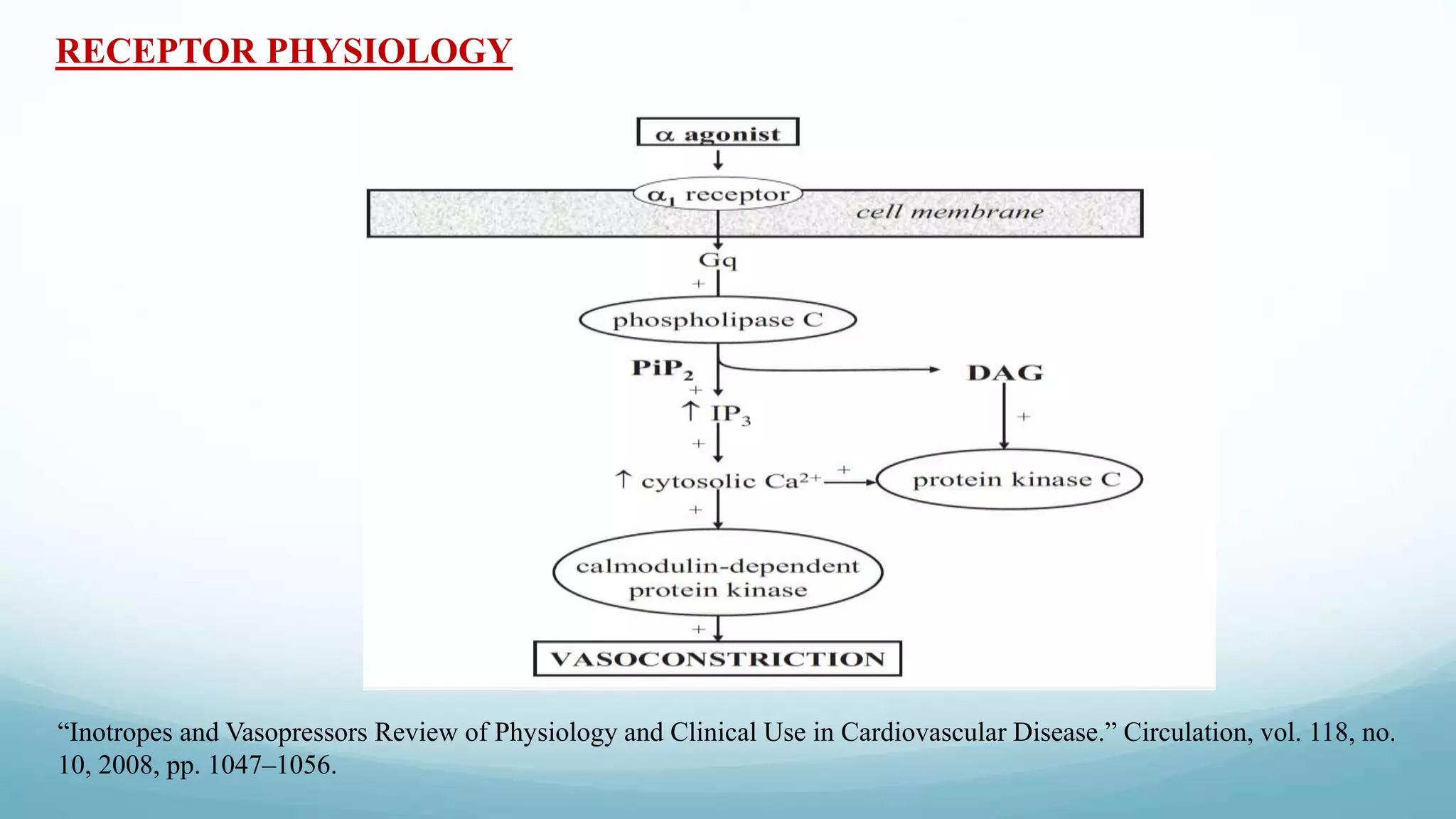 vasopressors.pptx