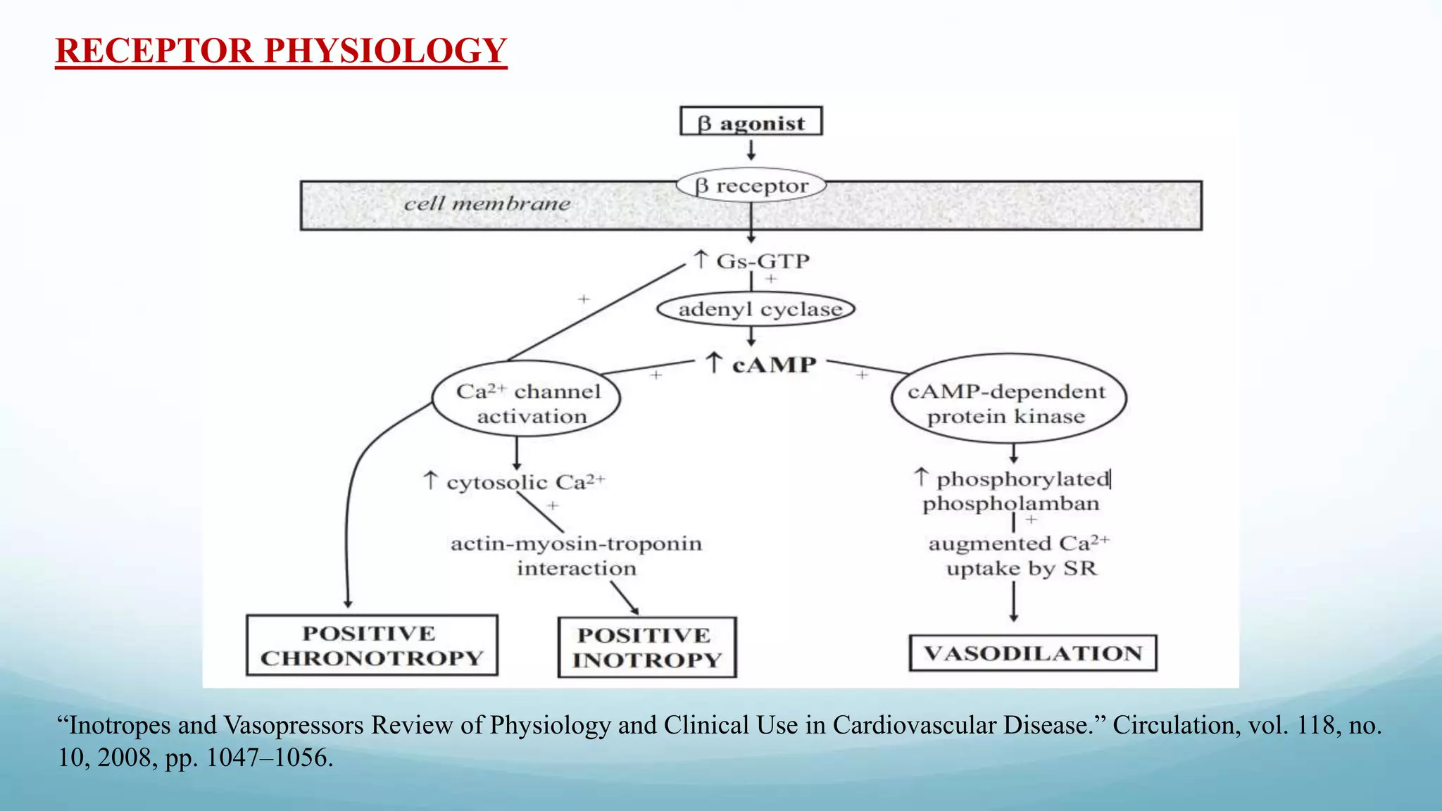 vasopressors.pptx