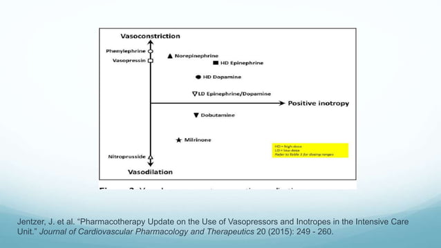 vasopressors.pptx | Heart and Cardiovascular Diseases | Diseases and ...