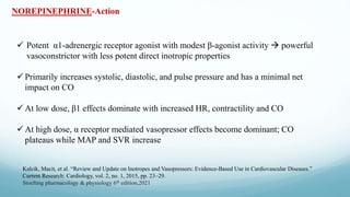 vasopressors.pptx