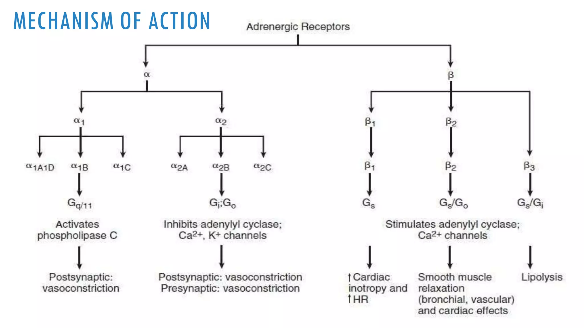 Inotropes & Vasopressors | PDF