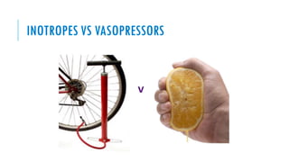 Inotropes & Vasopressors | PDF