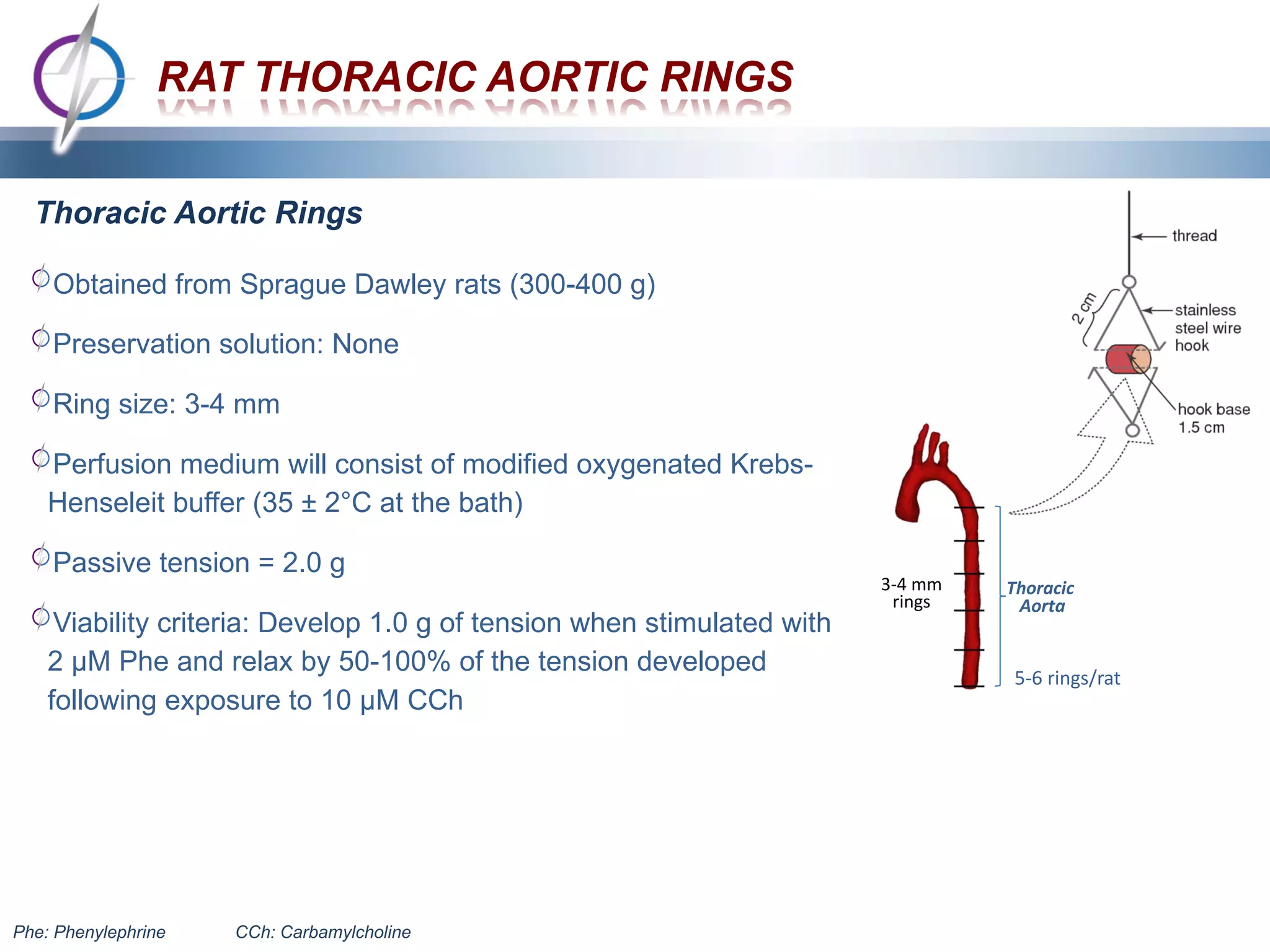 Vasoreactivity - Contraction and Relaxation Using Aortic Rings | PDF