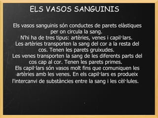Els vasos sanguinis | PPT