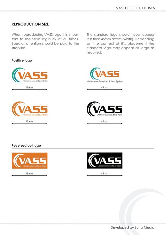 VASS LOGO GUIDLINE | PDF
