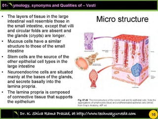 Vasti 01-introduction00 | PPT