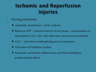 Vascular trauma | PPT
