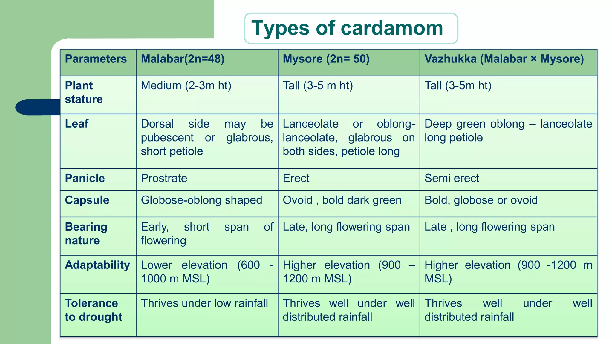 Production Technology Of Cardamom | PPTX