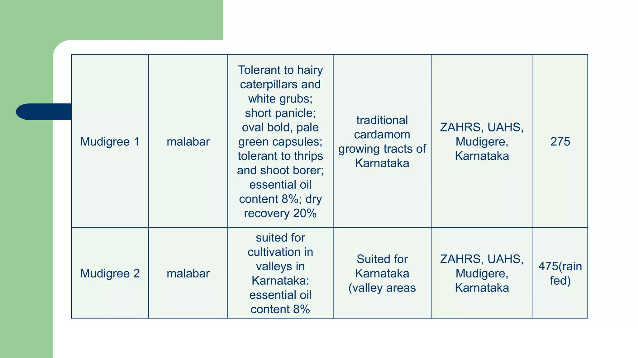 Production Technology Of Cardamom | PPTX