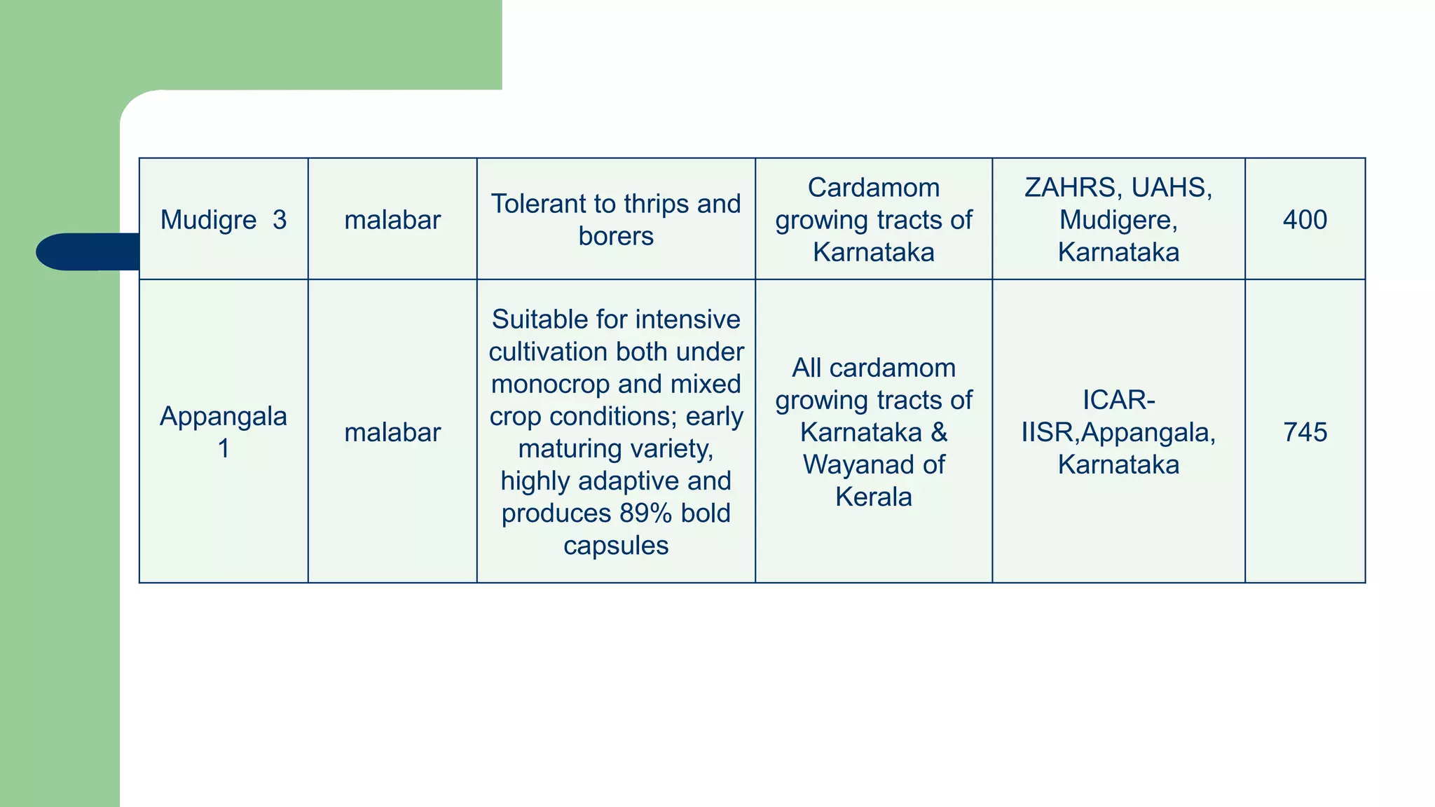 Production Technology Of Cardamom | PPTX