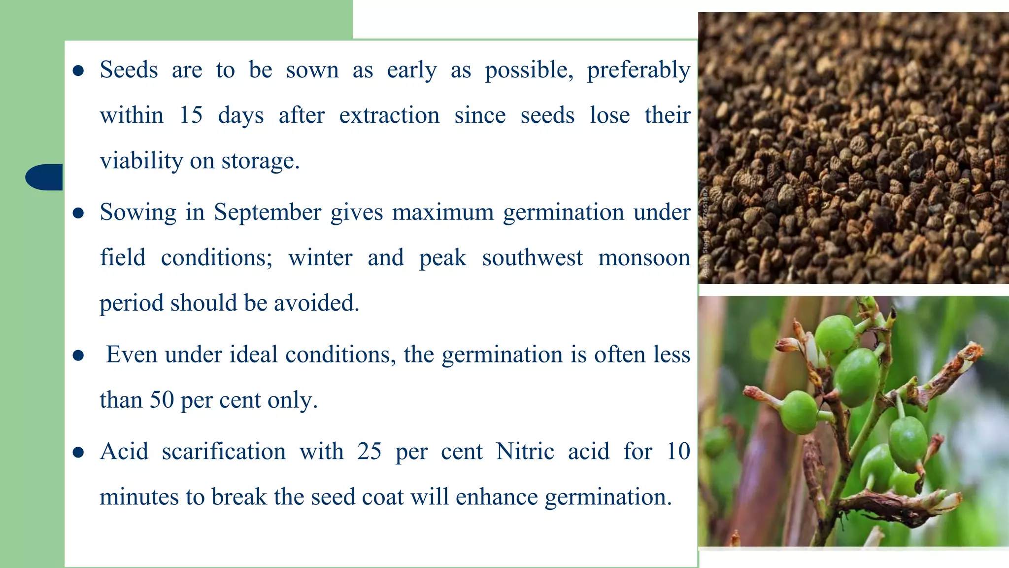 Production Technology Of Cardamom | PPTX