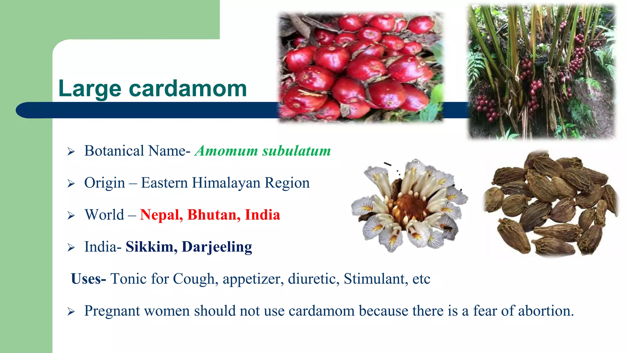 Production Technology Of Cardamom | PPTX