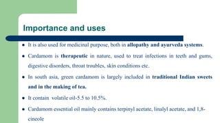 Production Technology Of Cardamom | PPTX