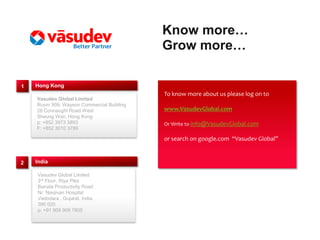 Vasudev Global Profile | PDF | Business | Business and Finance