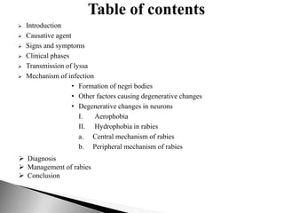 Rabies | PPTX