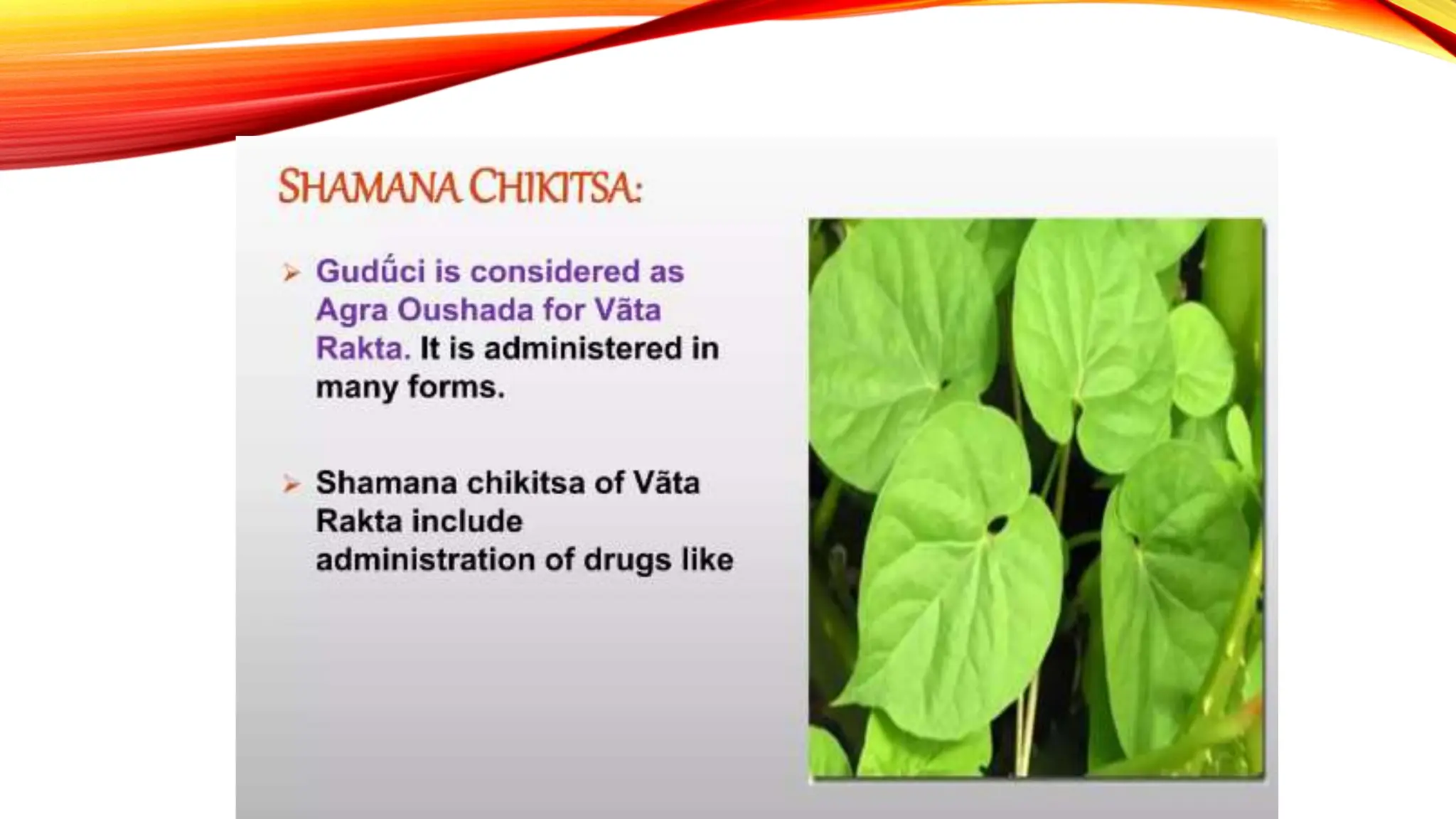 Vata-rakta disease in ayurveda cause, management | PPTX