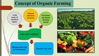 organicfarmingppt-200714082227 (1)-1.pptx