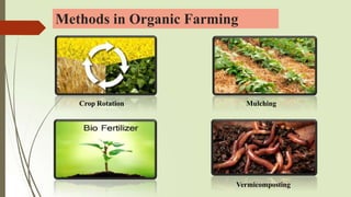 organicfarmingppt-200714082227 (1)-1.pptx