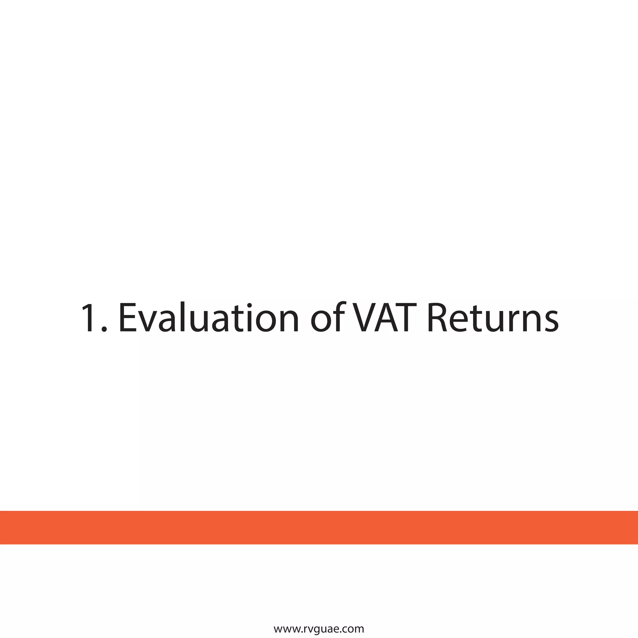 VAT AUDIT.pdf