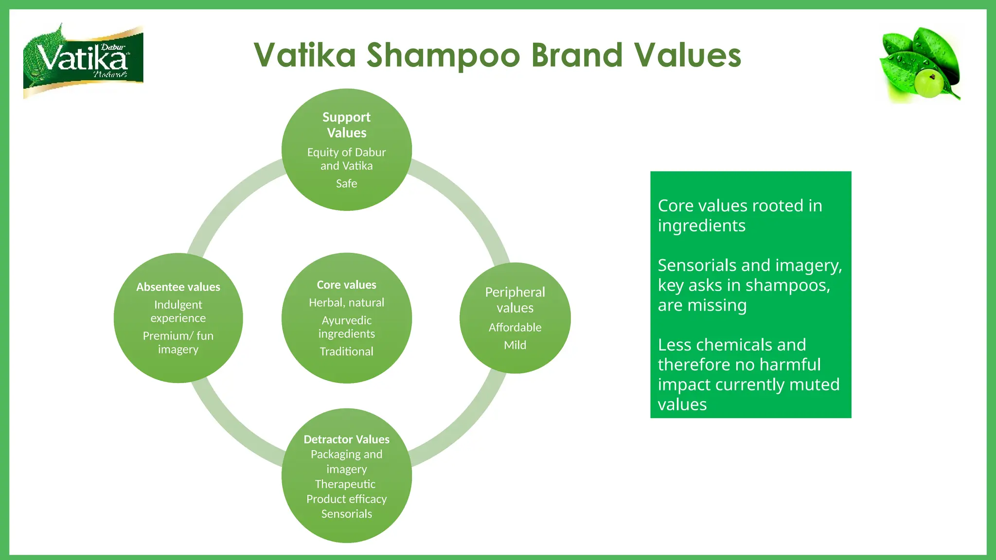 Vatika Shampoo Induction Decks 2024.pptx