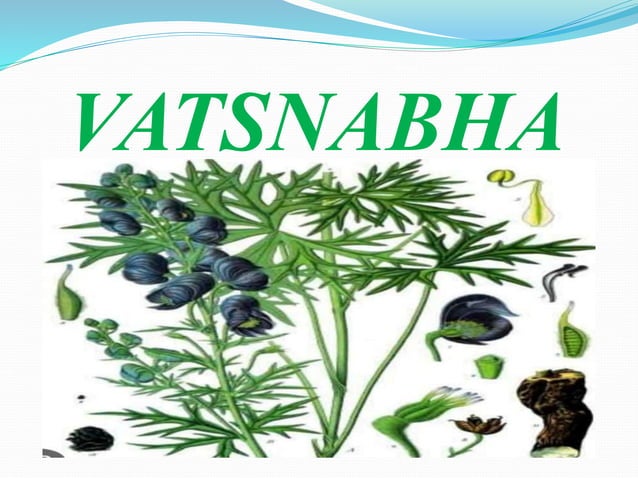 vatsanabha.pptxvlvovlvovgoogifififififfititit | PPTX