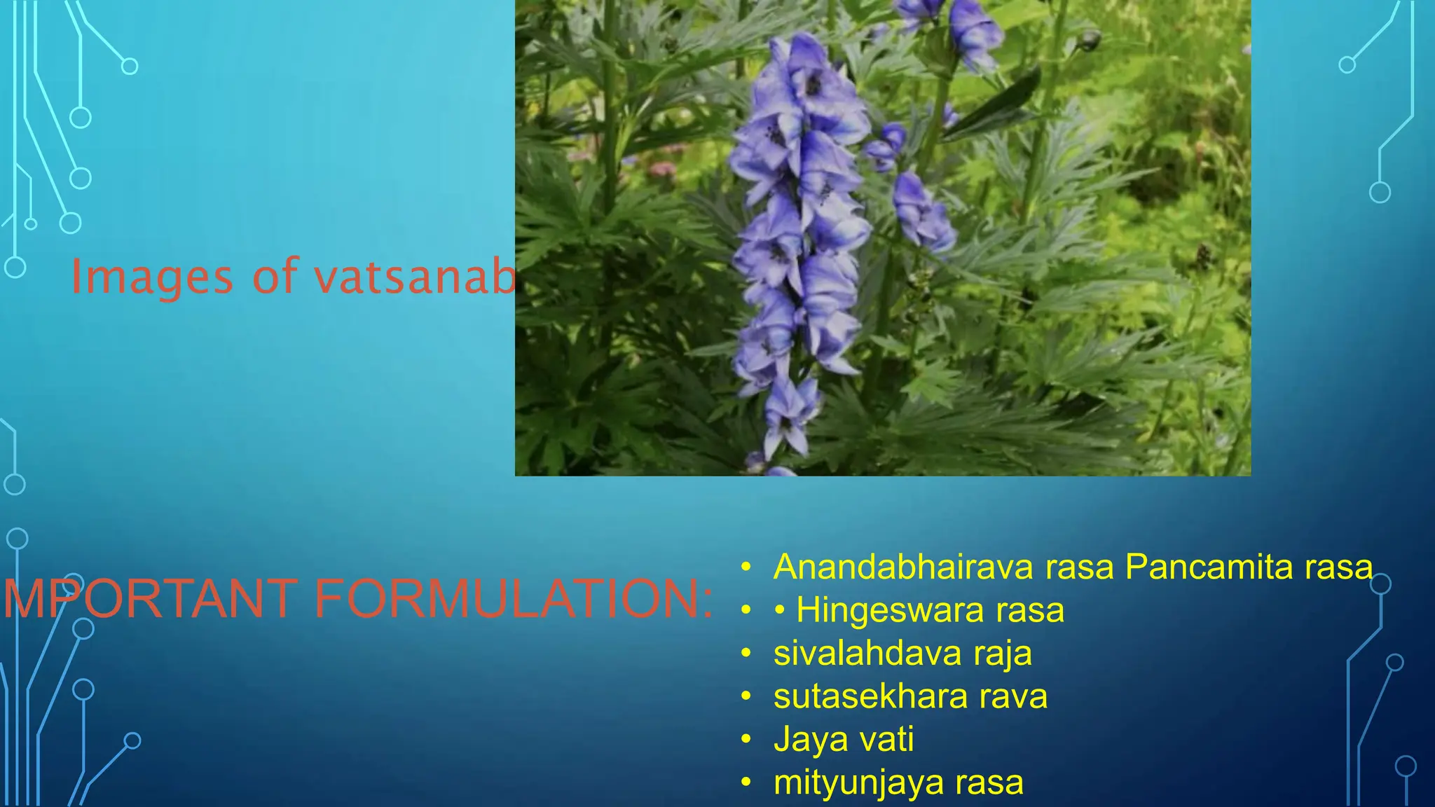 Vatsanbh RSBK copy copy.pptx rasa shastra | PPTX