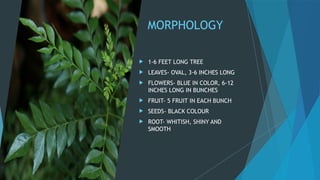 vatsnav/vatsnabh plant.pptx.ppt.pdf format | PPT