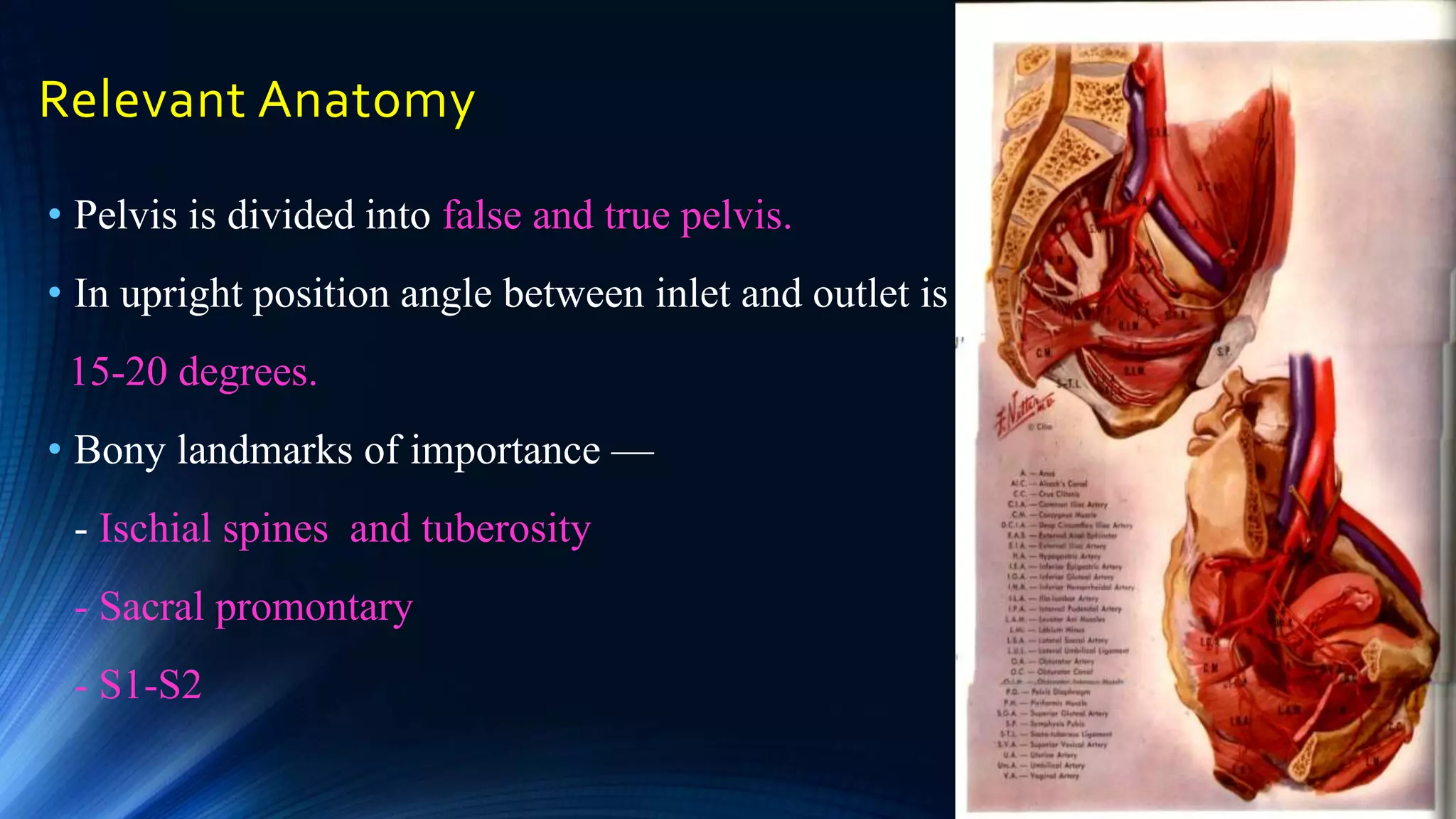 Vault prolapse, Pelvic organ Prolapse, Supports Of Uterus | PPSX