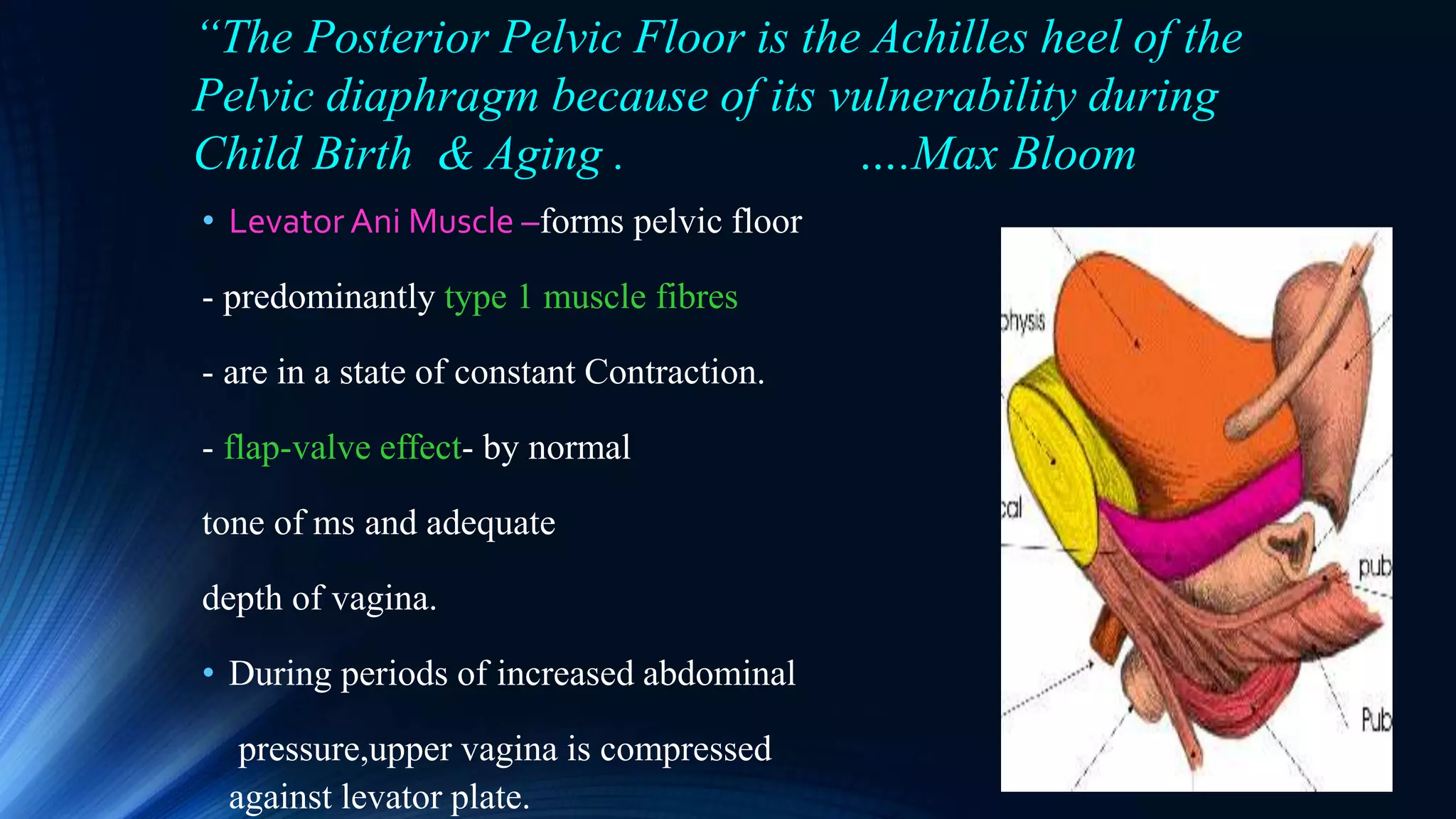 Vault prolapse, Pelvic organ Prolapse, Supports Of Uterus | PPSX