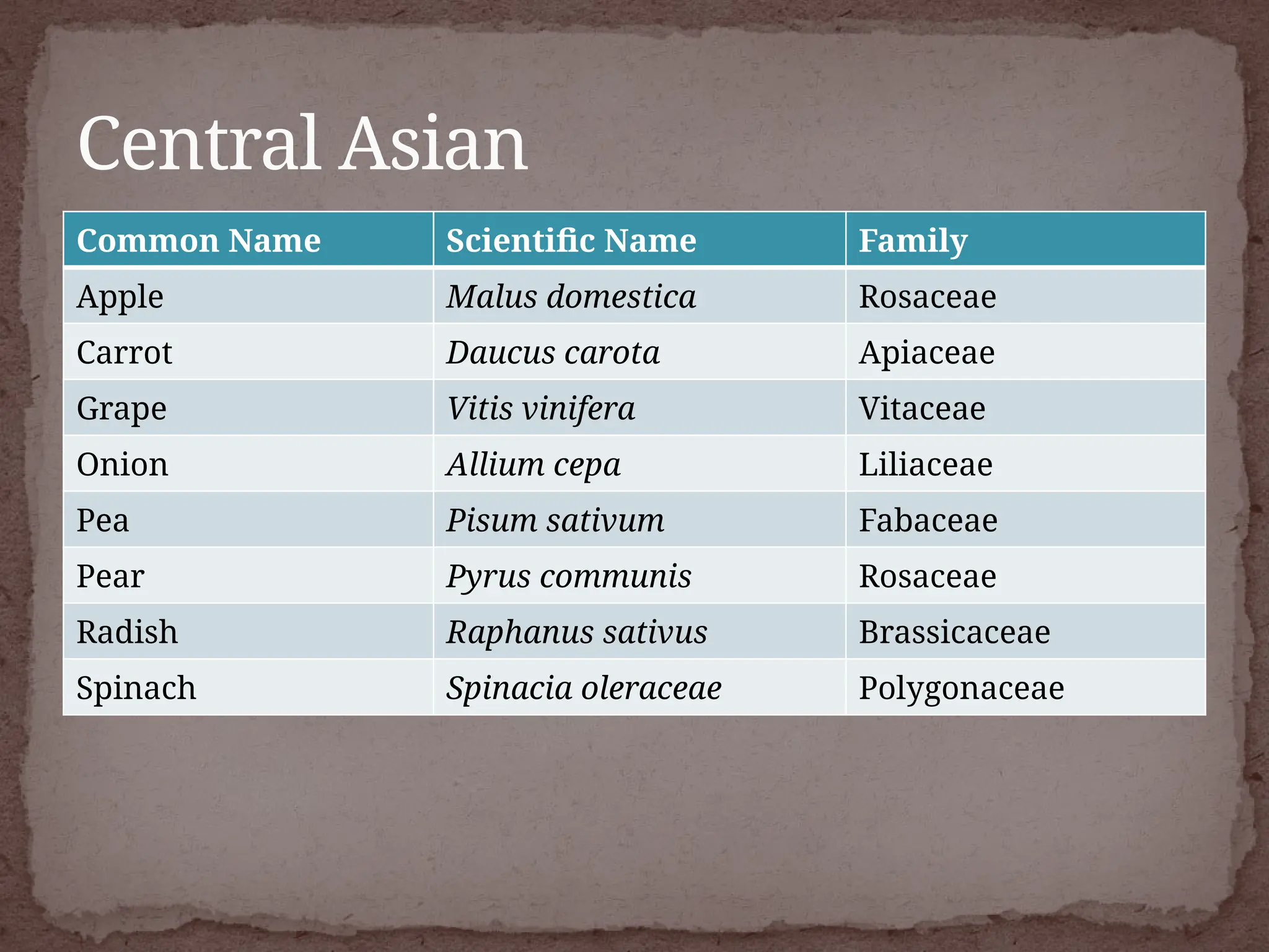 Vavilov’s Eight Centers of Origin economic botany | PPTX