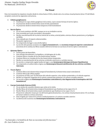 Vía Visual | PDF