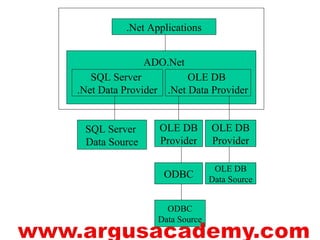 VISUAL BASIC .net data accesss vii | PPS | Databases | Computer Software and Applications