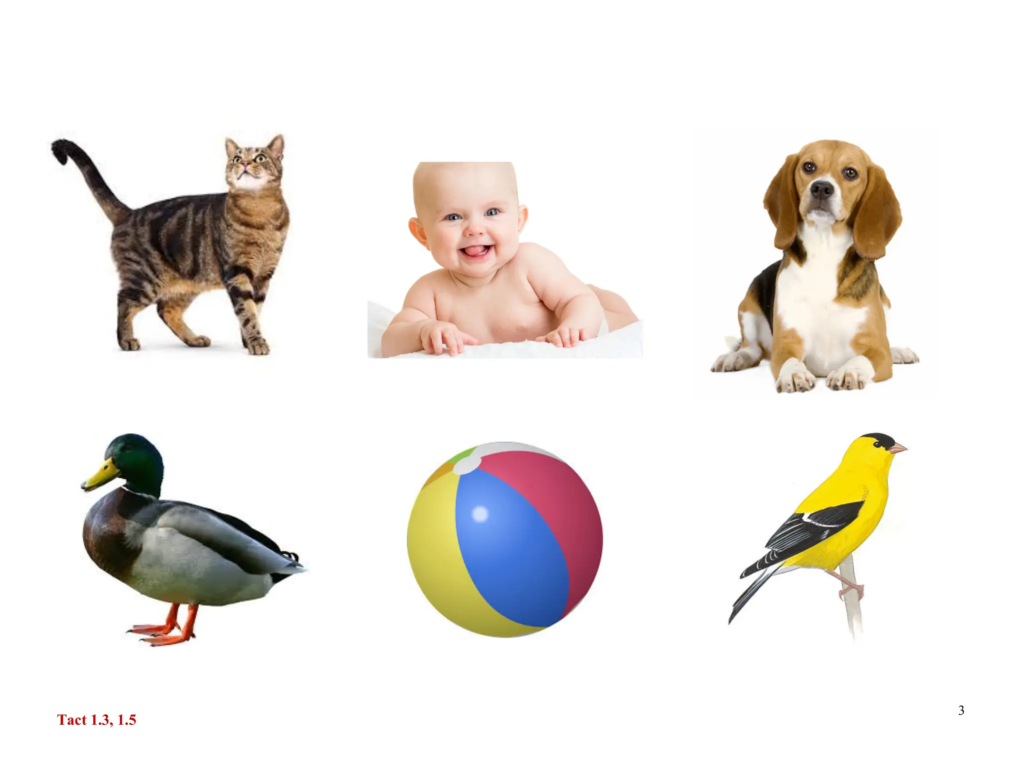 VB-MAPP_Flip_Book.pdf, imagens para avaliação | PDF