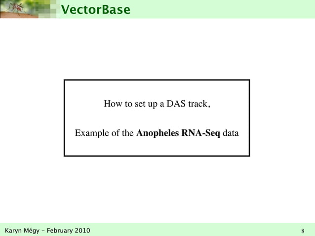 VectorBase DAS Tutorial | KEY | Web Development | Internet