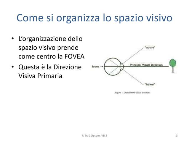 Vb 2 la visione binoculare | PPT