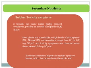 Role deficiency and toxicity secondary nutrients | PPT