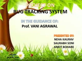 Bug tracking system ppt | PPTX