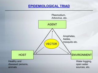 Vector Borne Diseases - The Growing Menace | PPTX